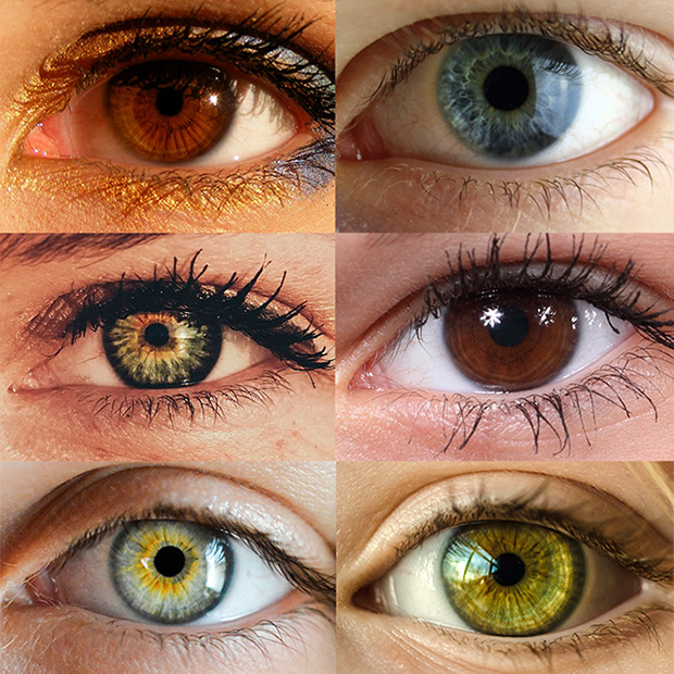 Eye Color Trivia – Cameron NC | Northgate Eye Center OD, PA